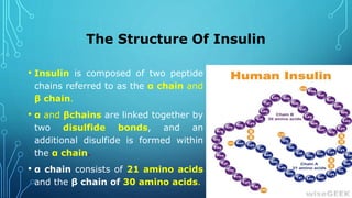 Insulin production and synthesis | PPTX