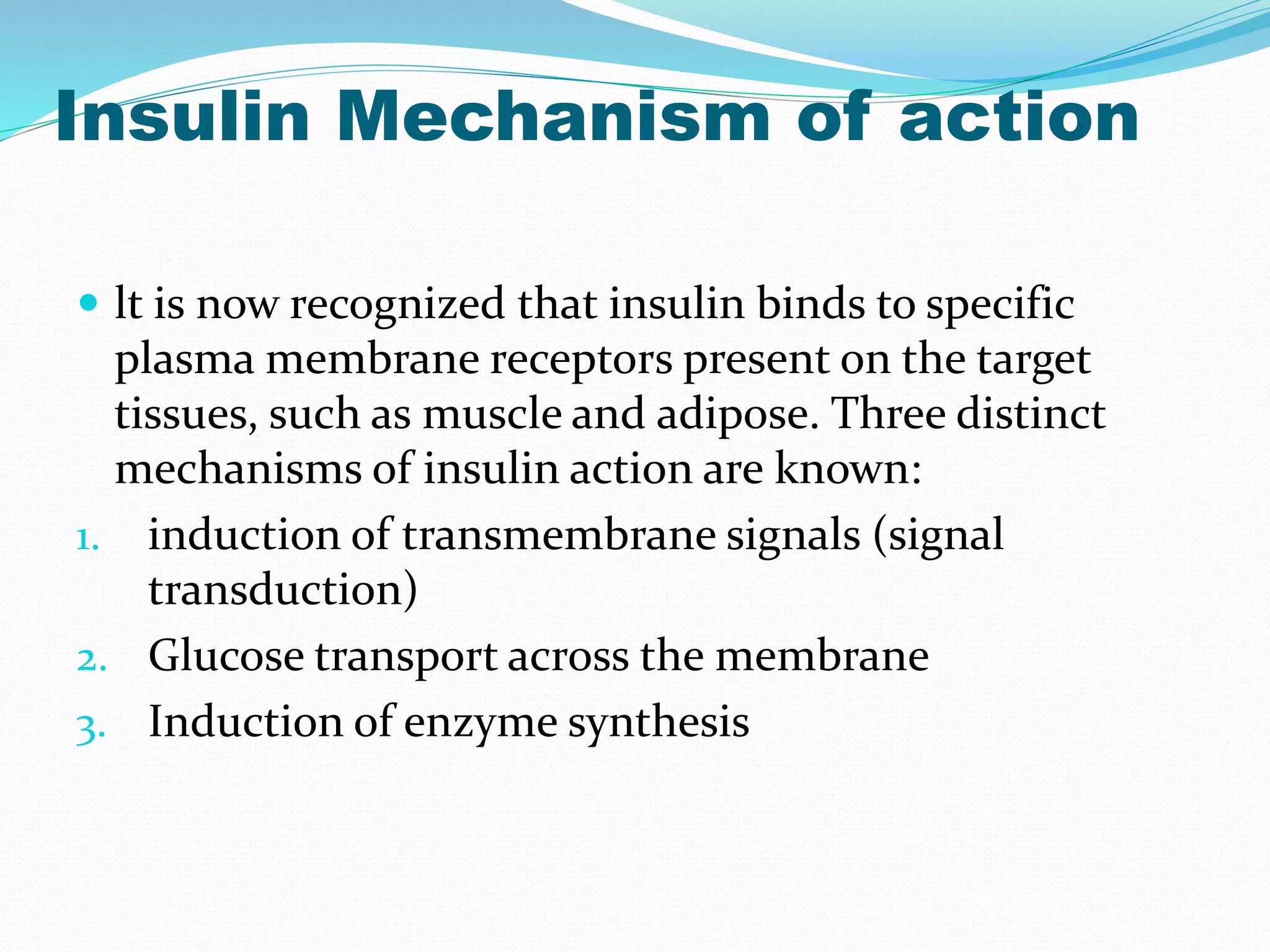 Insulin presentation | PPTX