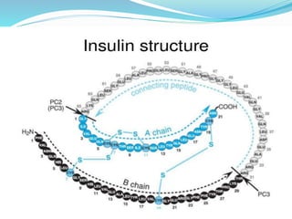 Insulin presentation | PPTX