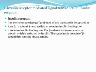 Insulin presentation | PPTX