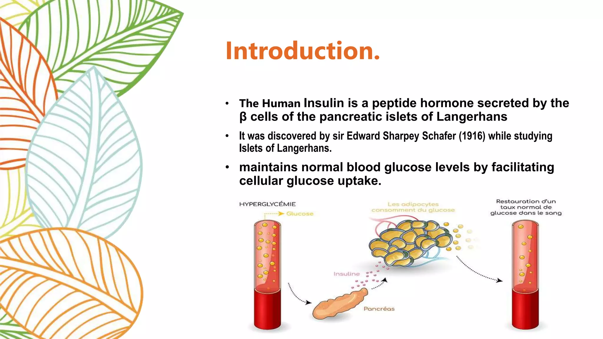 INSULIN PRODCTION.pptx