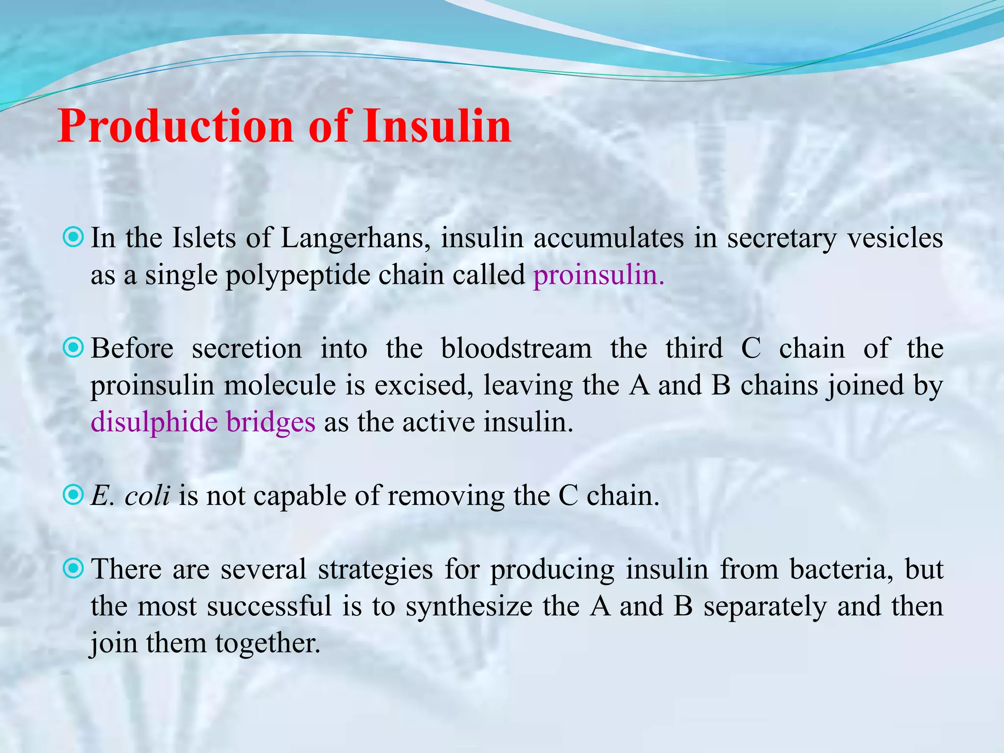 Insulin production | PPTX