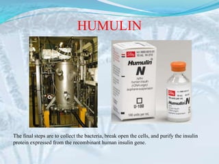 Insulin production | PPTX