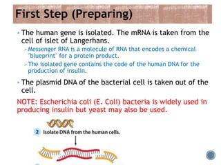 insulinproductionbygeneticengineering-191102112850.pptx