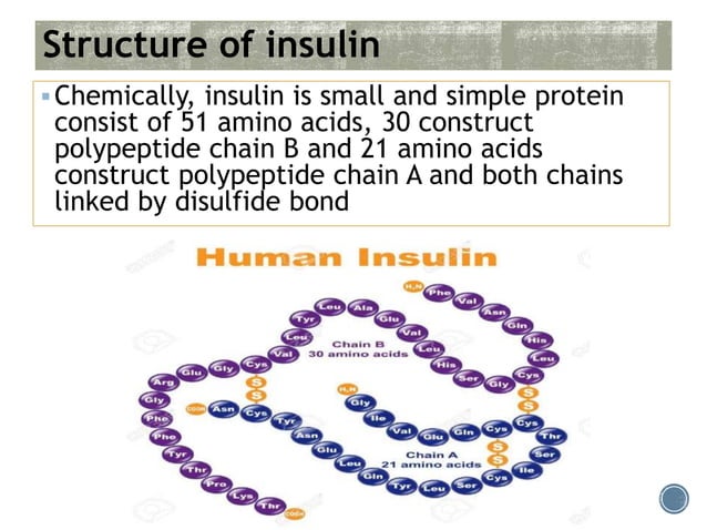 insulinproductionbygeneticengineering-191102112850.pptx