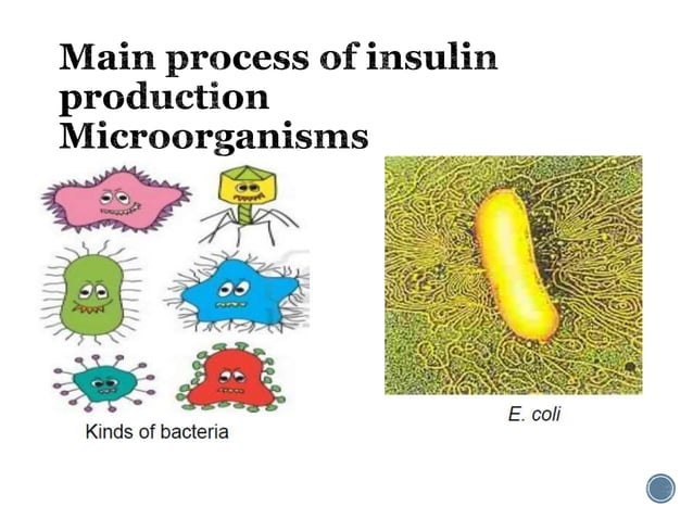 insulinproductionbygeneticengineering-191102112850.pptx
