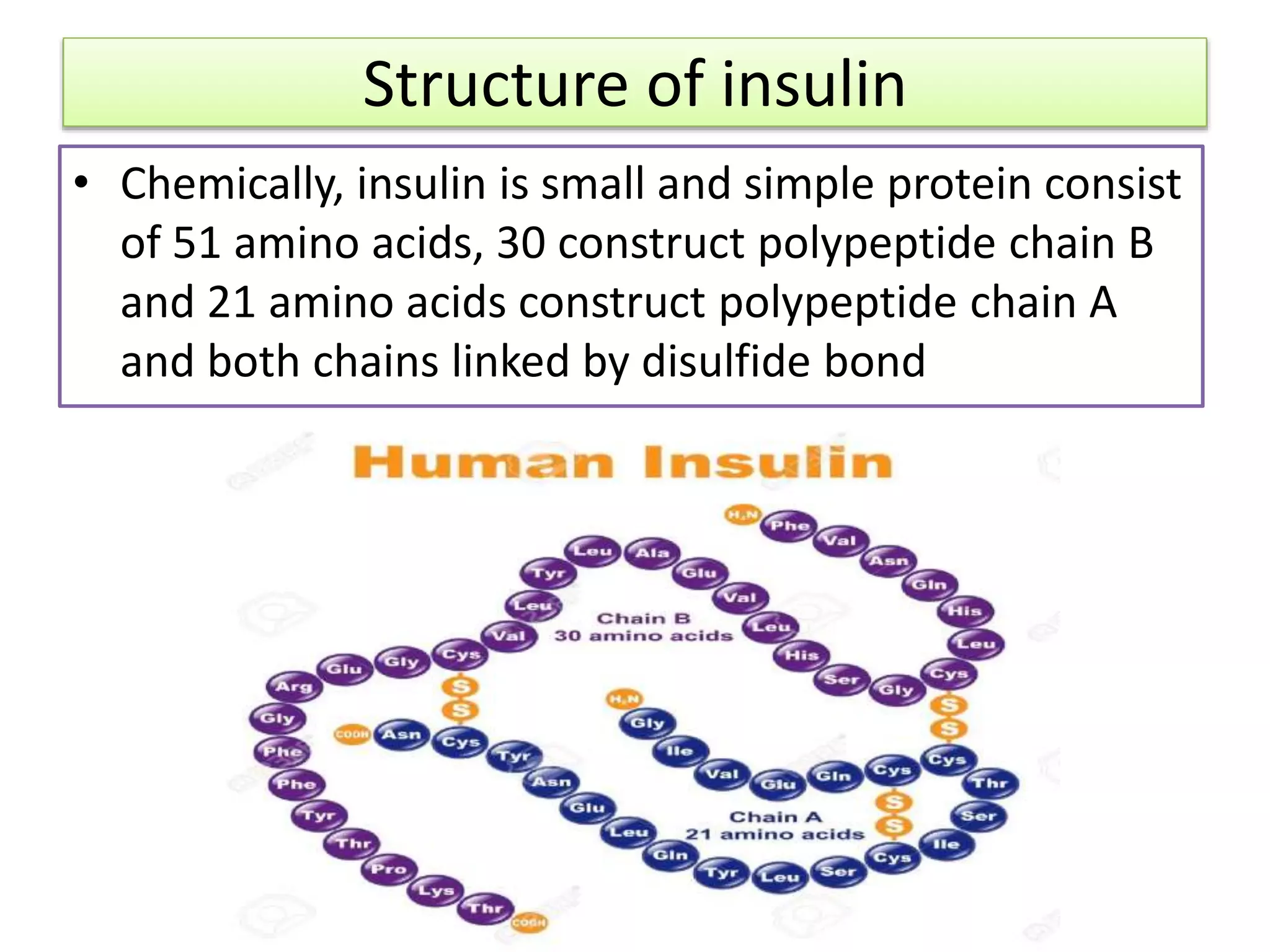 Insulin production by genetic engineering | PPTX