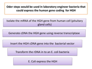 Insulin production by genetic engineering | PPTX