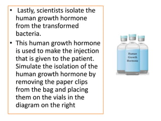 Insulin production by genetic engineering | PPTX