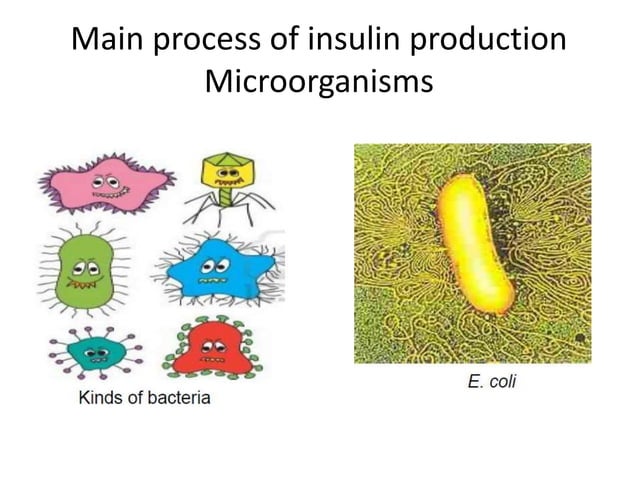 Insulin production by genetic engineering | PPTX