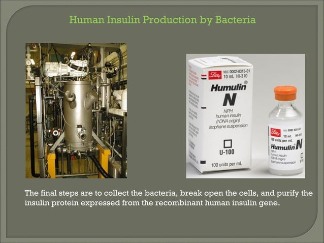 Insulin production prof.a.k.saha