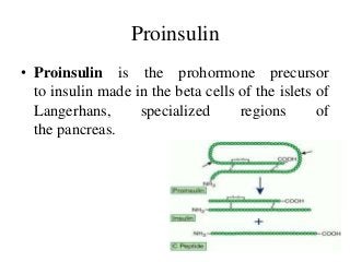 Insulin proinsulin | PPTX