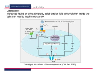 Insulin resistance 2013 | PDF