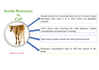 Insulin resistance in dairy animals...dr muneendra | PDF