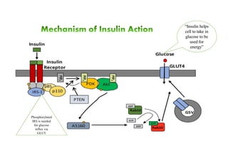 Insulin resistance in dairy animals...dr muneendra | PDF