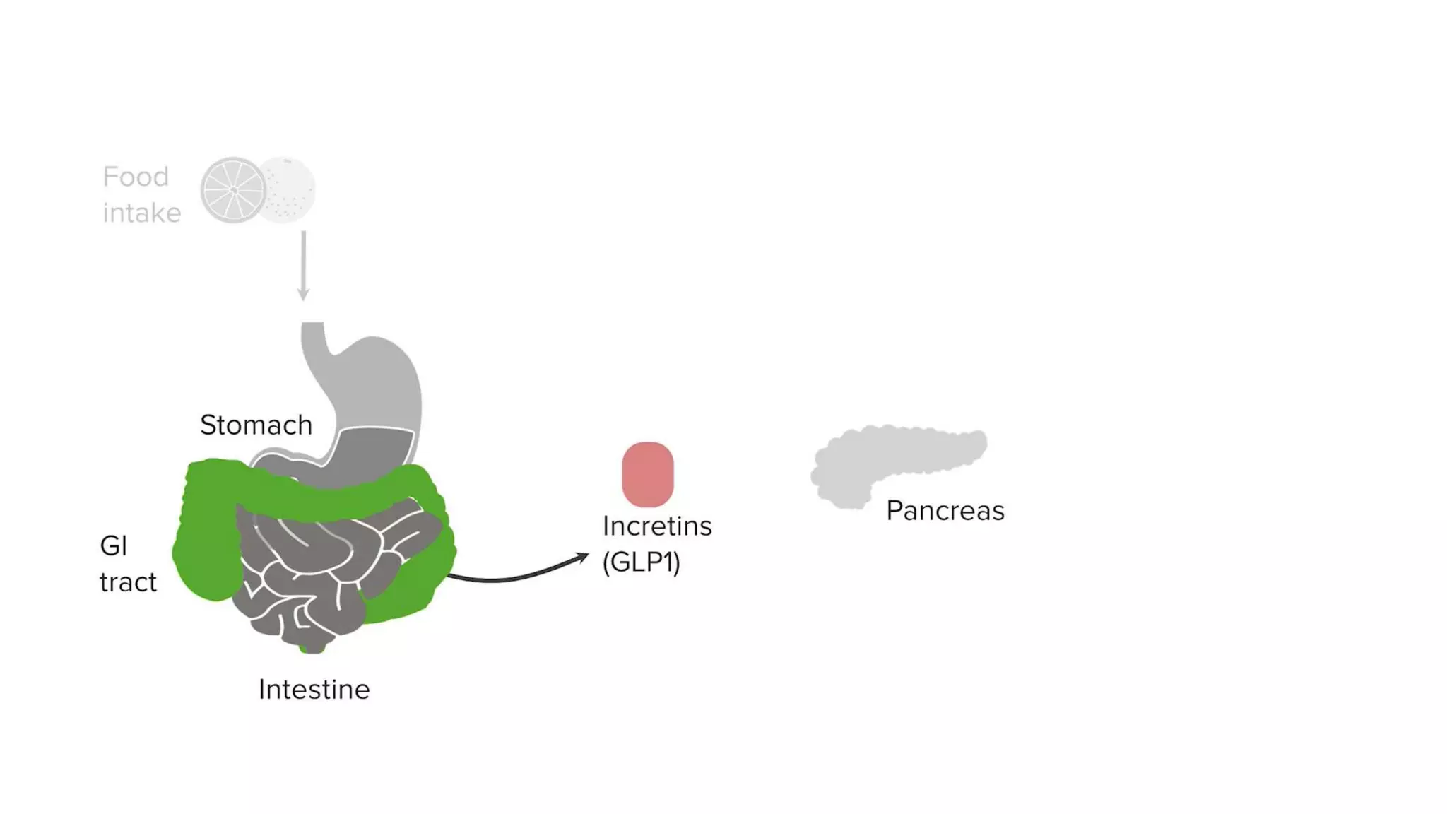 Insulin secretagogues | PPTX