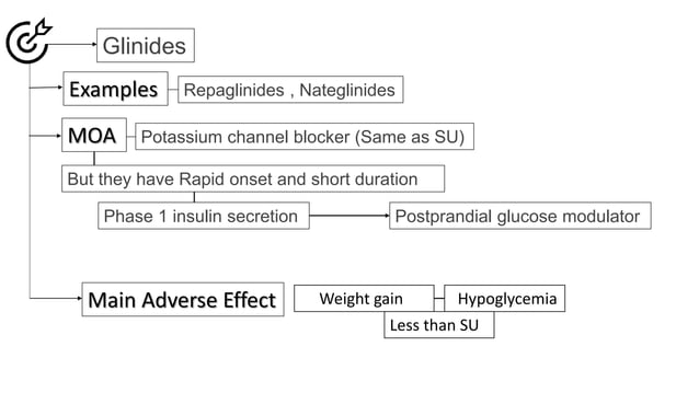 Insulin secretagogues | PPTX | Endocrine and Metabolic Diseases ...