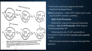 Insulin secretion and its chemistry .pptx