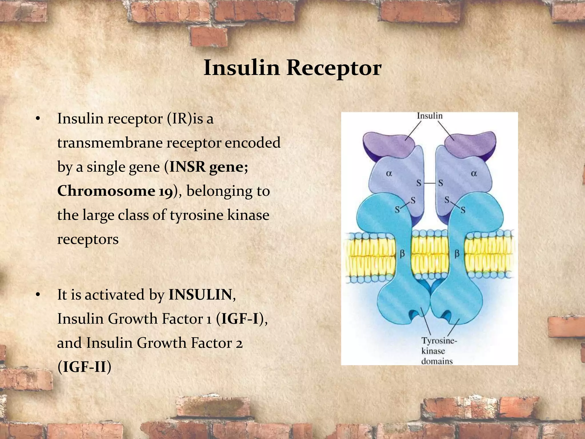 Insulin sensitisers | PPTX