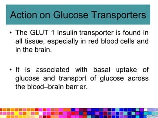 Insulin therapy | PPT