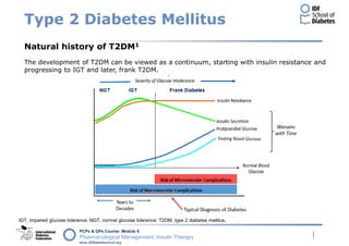 Insulin therapy in Diabetes Mellitus Pts | PDF