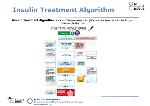 Insulin therapy in Diabetes Mellitus Pts | PPT