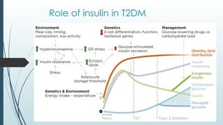 Insulin Therapy in Type 2 Diabetes Mellitus.pptx