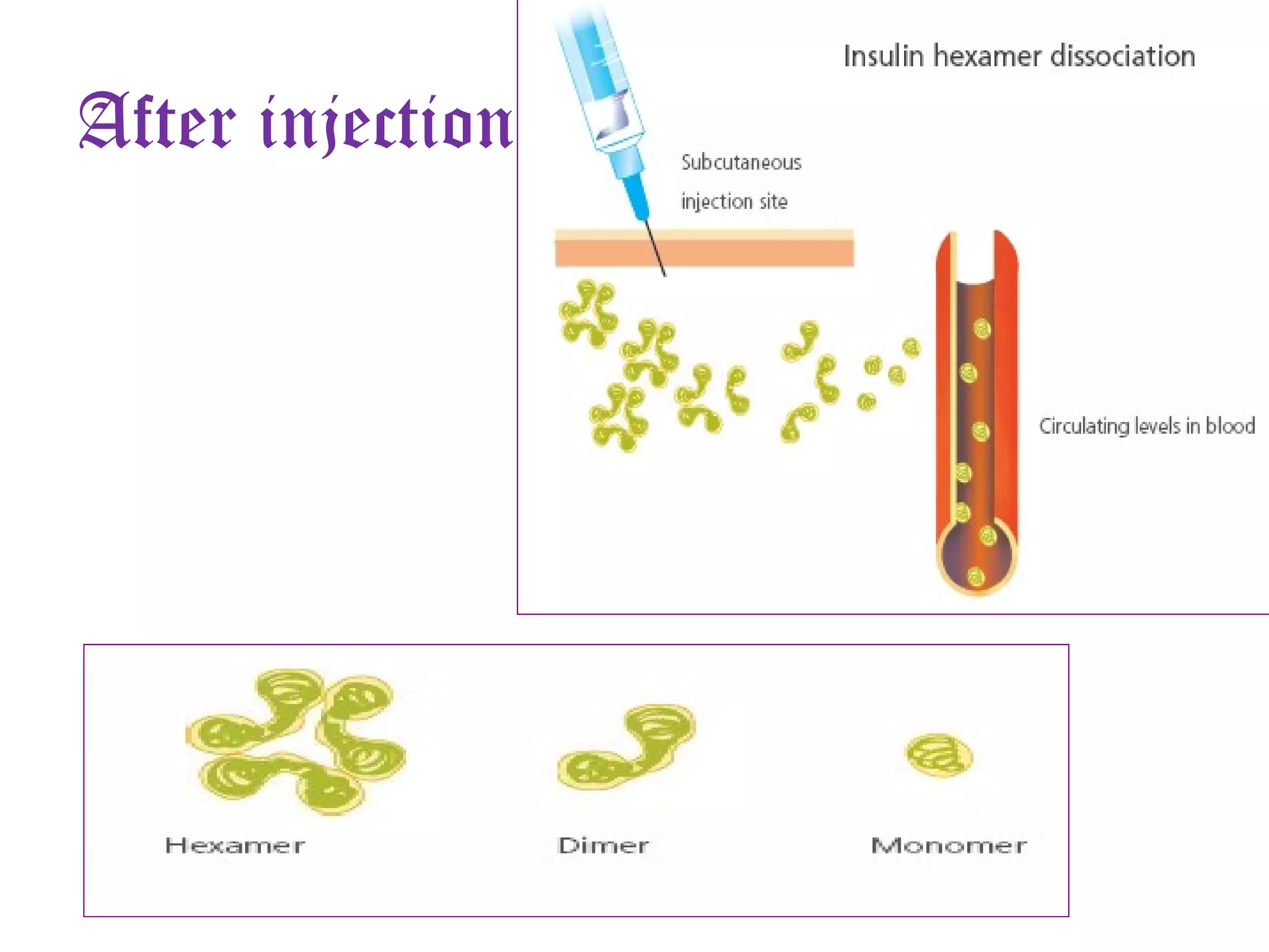 Insulin therapy | PPT