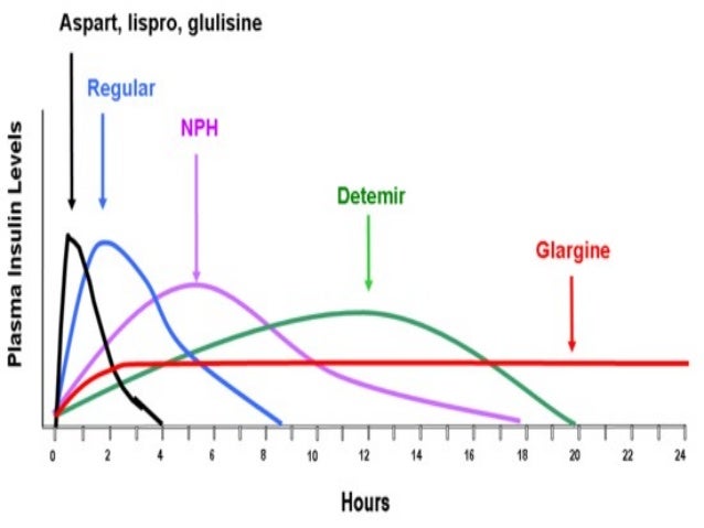 Insulin therapy regimen