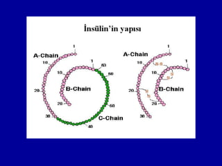 Insulinve oralantidiyabetikler | PPT