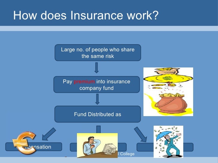 Insurance