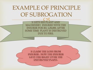 Principles of Insurance | PPTX