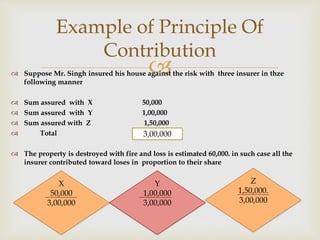 Principles of Insurance | PPTX