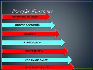 Principles of Insurance | PPTX