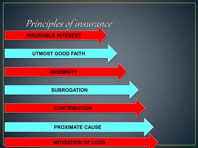 Principles of Insurance | PPT