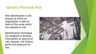 Introduction To Risk Management | PPTX | Home Insurance | Insurance