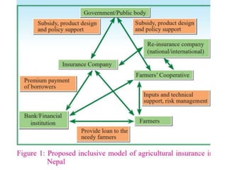 Insurance & Agricultural insurance | PPTX