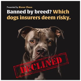 What the Insurance Industry Considers “High-Risk” Dog Breeds | PDF