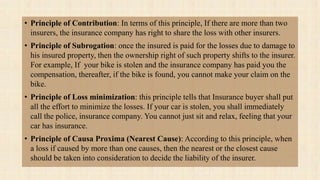 Insurance (Litty Sylus).pptx