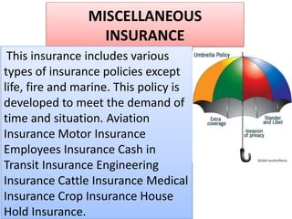 Insurance policy | PPT