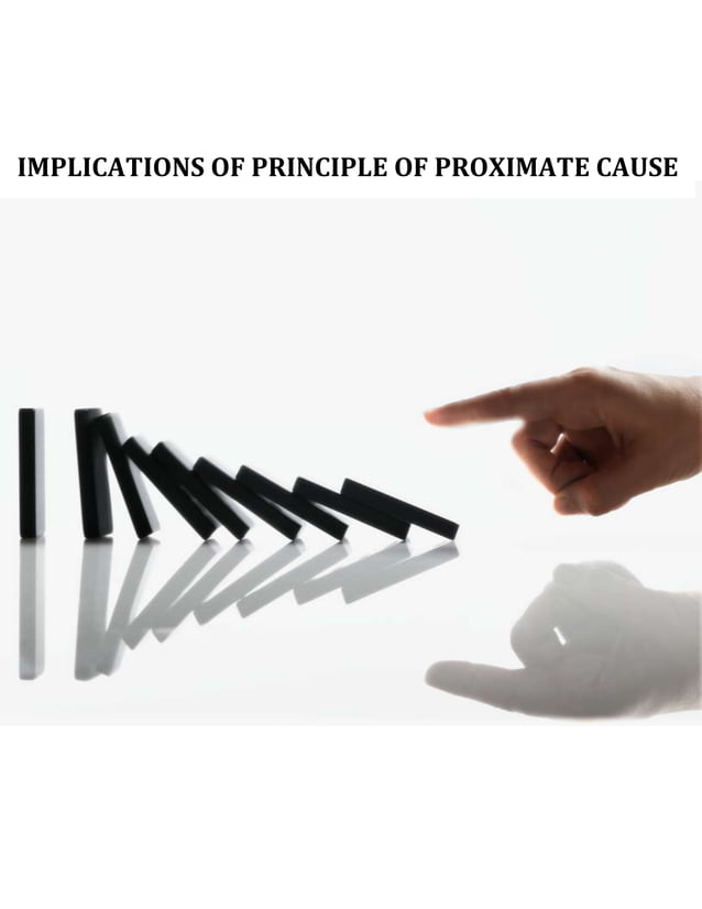 Practice and Implication of Principle of Proximate Cause by the ...