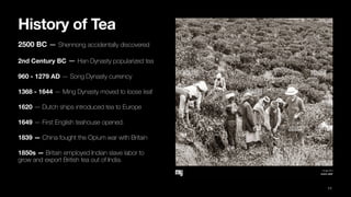 INT-450 Chinese Tea Culture and Food Ethnography | PDF