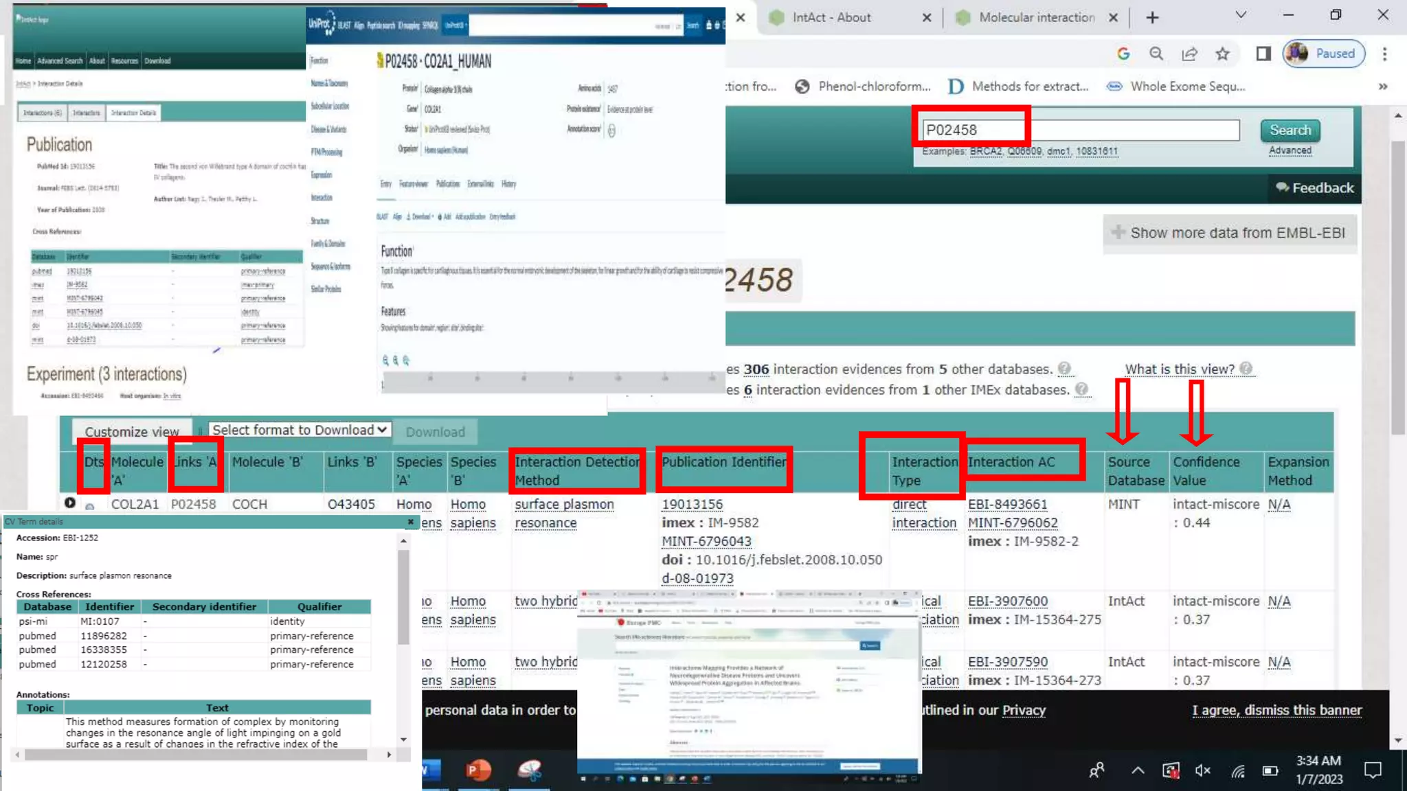 IntAct Database.pptx