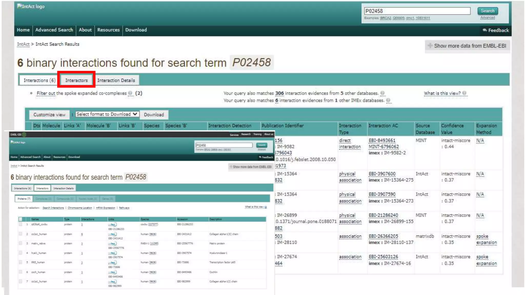 IntAct Database.pptx
