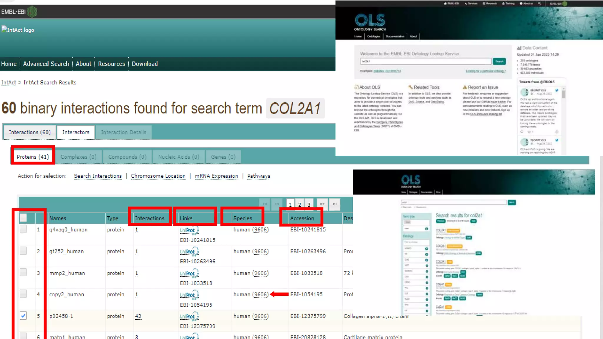 IntAct Database.pptx