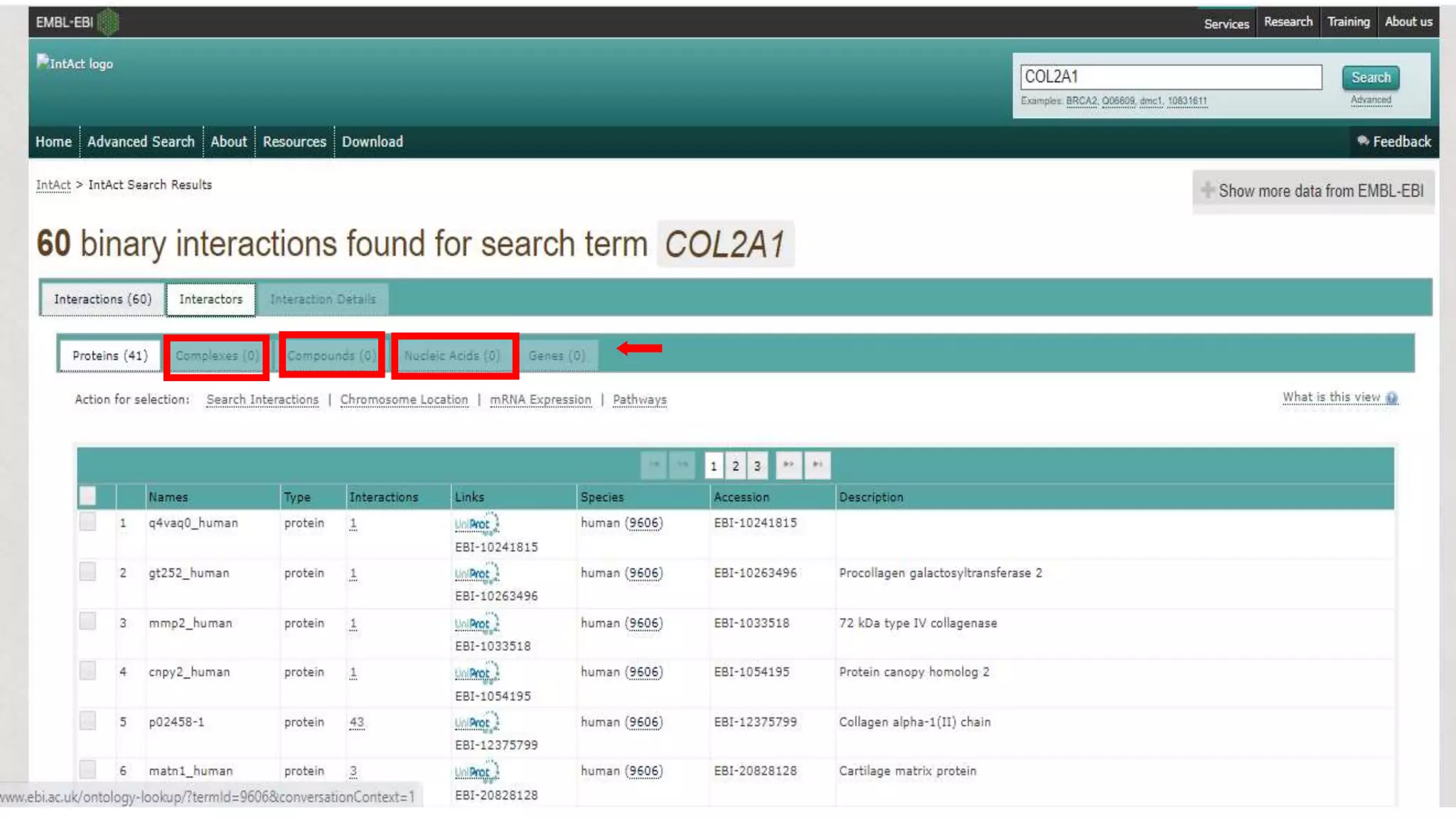 IntAct Database.pptx