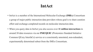 IntAct Database.pptx