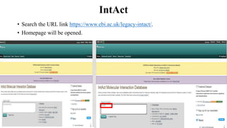 IntAct Database.pptx