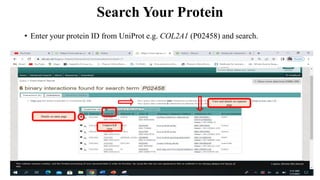IntAct Database.pptx