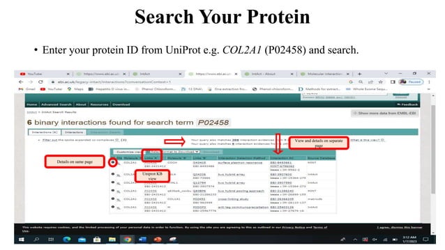 IntAct Database.pptx